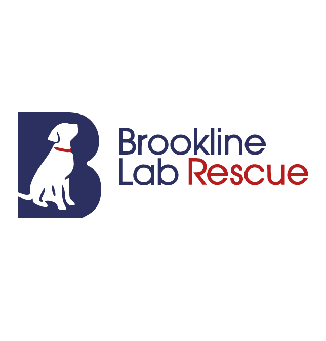 Brookline Lab Rescue – Varina Goods Co